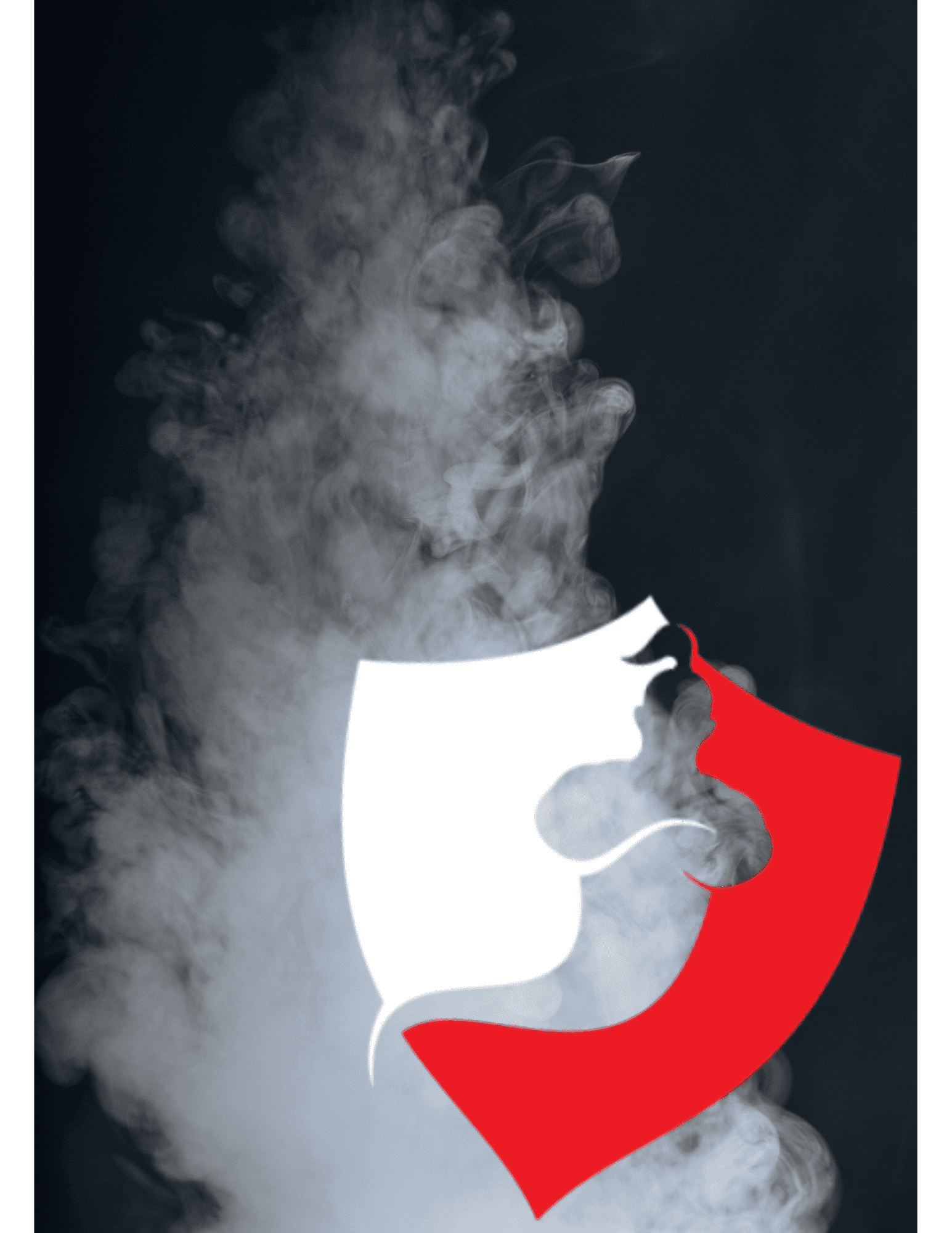 SMOKEHOUSE CLEANER | Aaladin Superior Cleaning